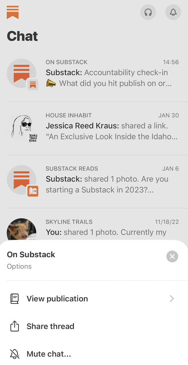How can I mute or leave a Chat? – Substack, Inc