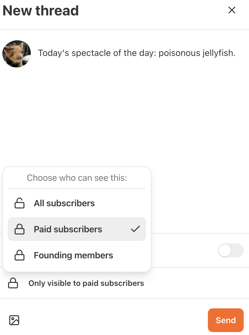 How do I start a Chat thread? – Substack, Inc