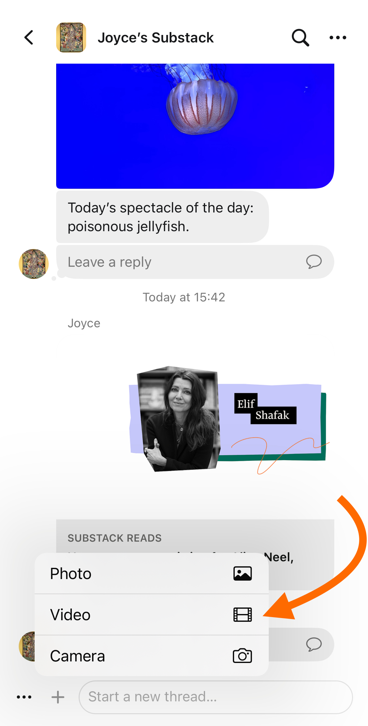 How do I start a Chat thread? – Substack, Inc